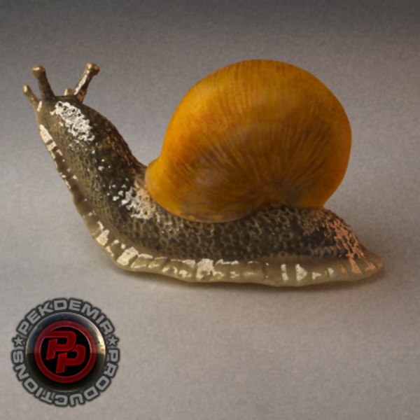 snail 3d model