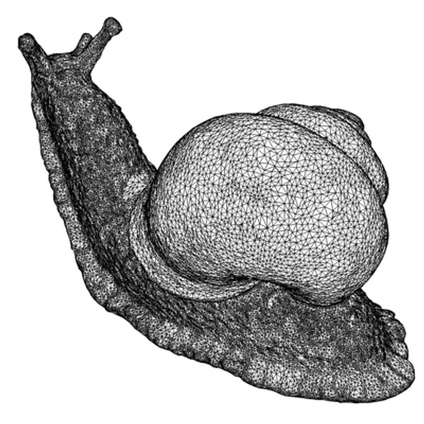 snail 3d model