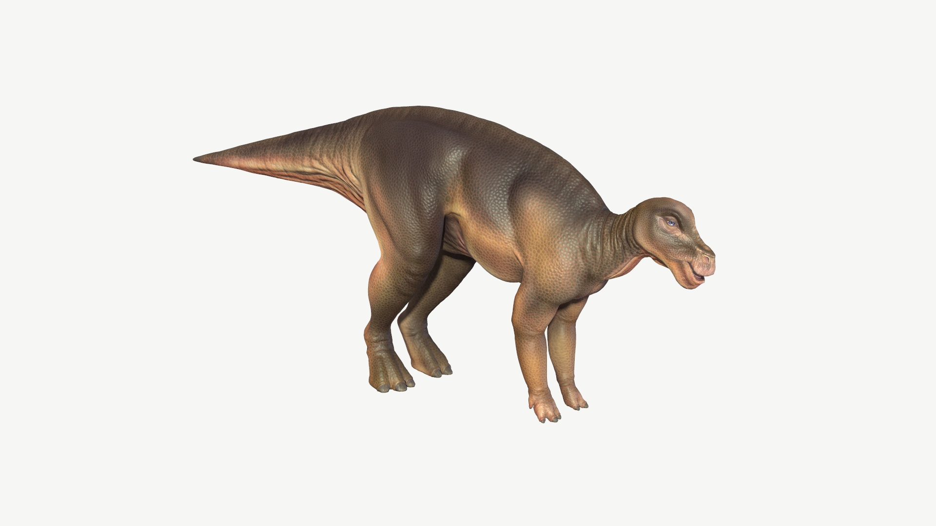 3D model protohadros - TurboSquid 1338781