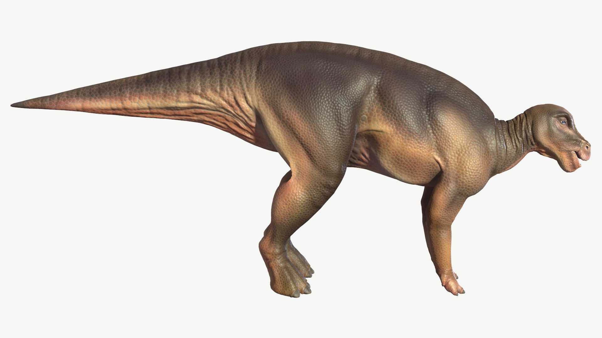 3D model protohadros - TurboSquid 1338781