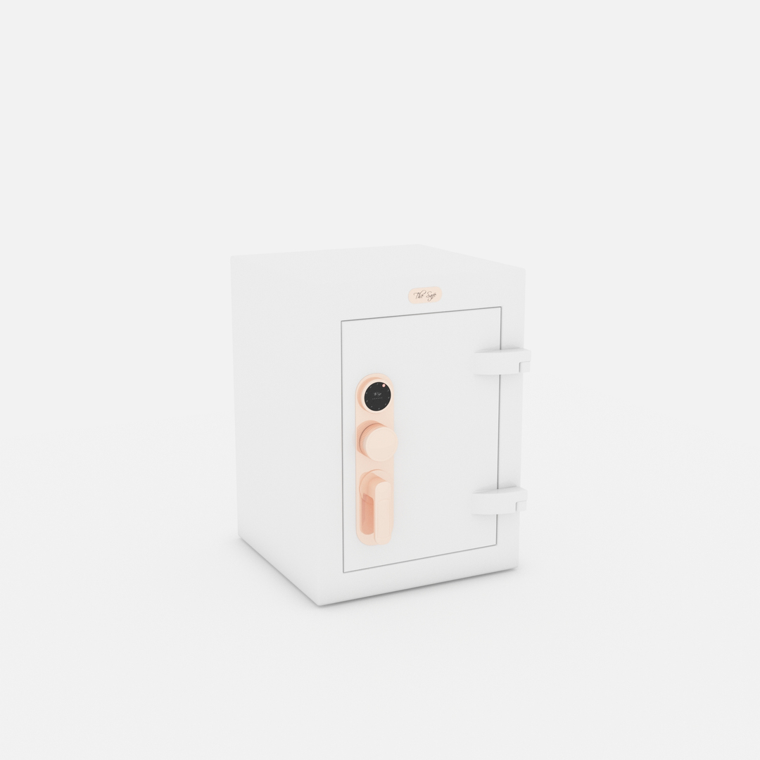 3D Luxury Safe Model - TurboSquid 1810983