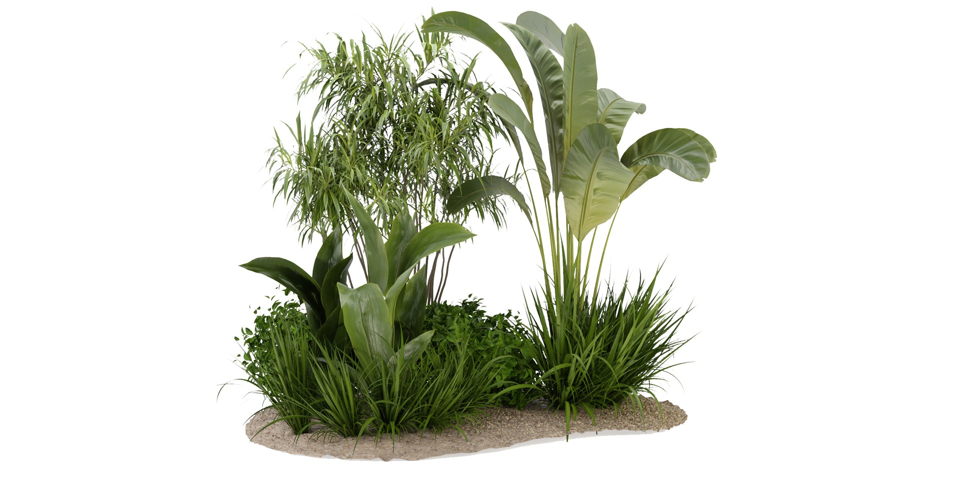 Collection Plant Vol 288 - Blender Model 3D Model - TurboSquid 2091948