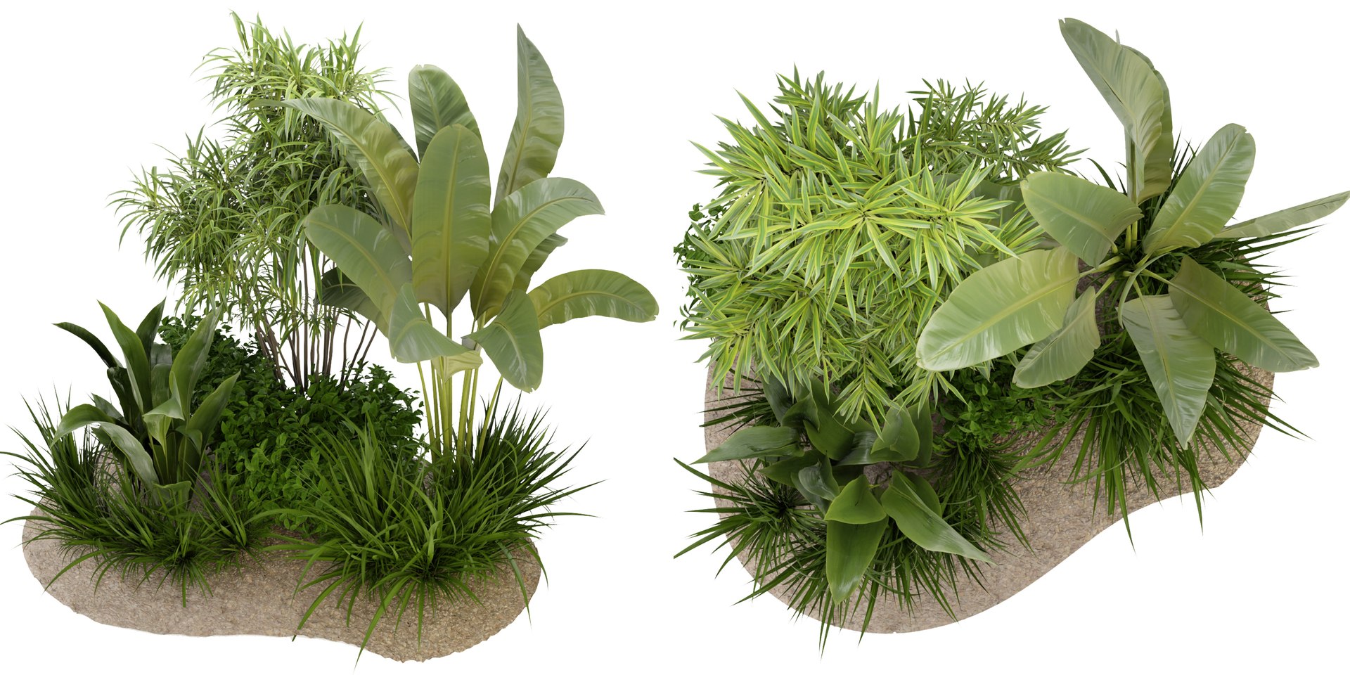 Collection Plant Vol 288 - Blender Model 3D Model - TurboSquid 2091948