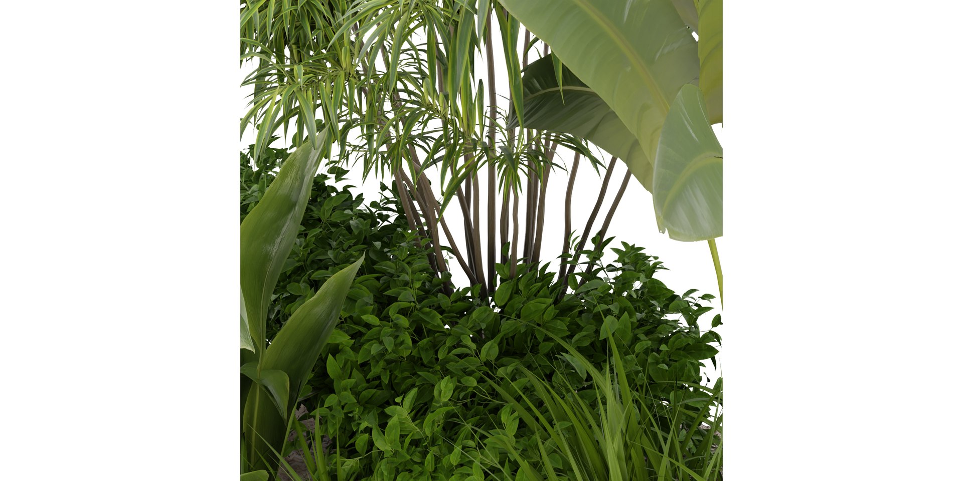 Collection Plant Vol 288 - Blender Model 3D Model - TurboSquid 2091948