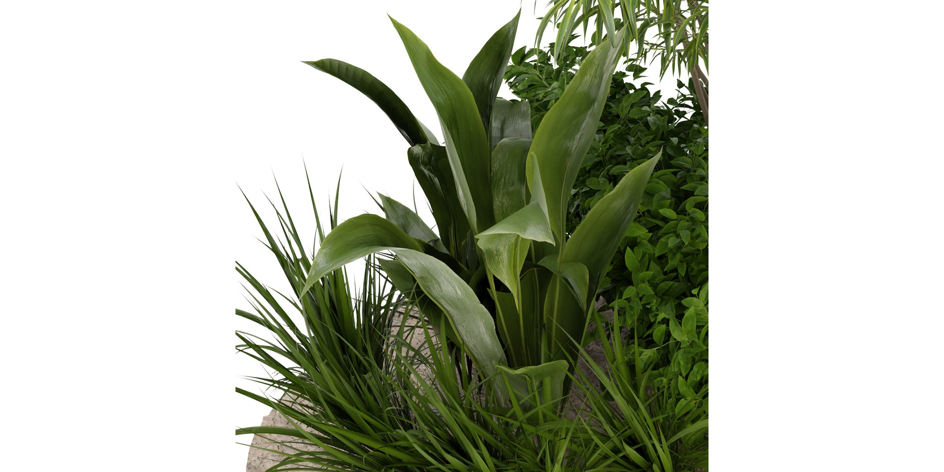 Collection plant vol 288 - blender model 3D model - TurboSquid 2091948