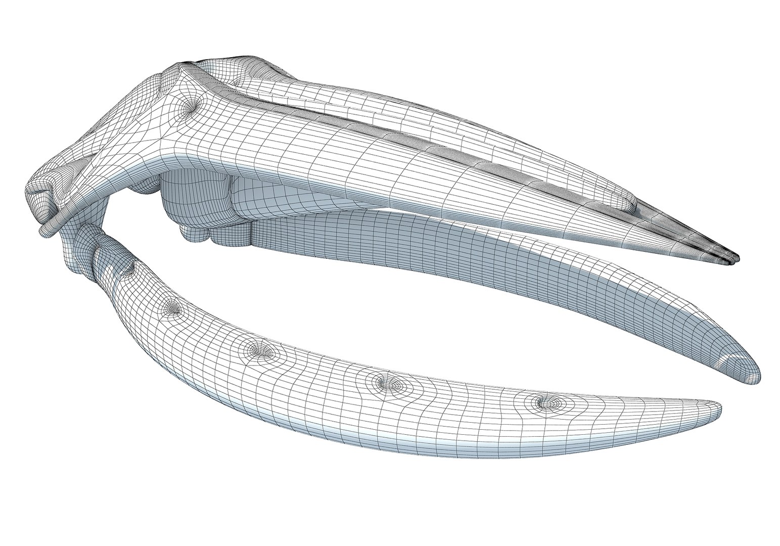 Humpback Whale Skull Skeleton 3D Model - TurboSquid 1306477