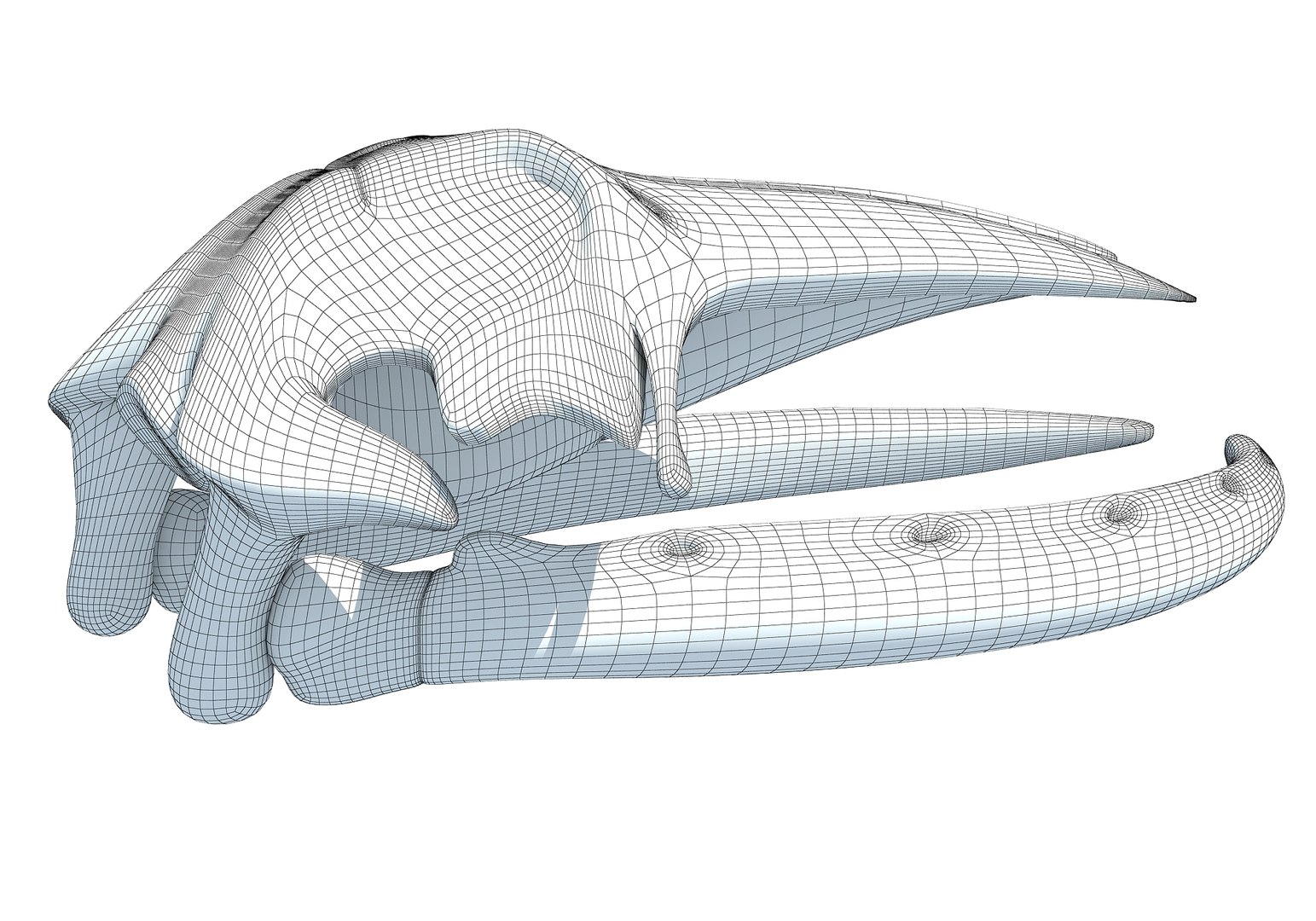 Humpback Whale Skull Skeleton 3D Model - TurboSquid 1306477