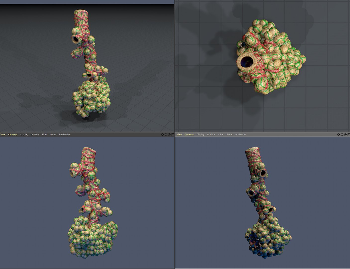 Alveoli Lungs 3D Model - TurboSquid 1476936