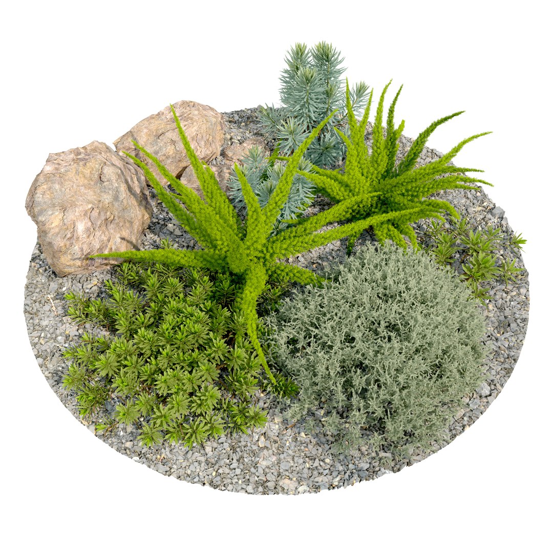 Garden Plants 3D Model - TurboSquid 2427430
