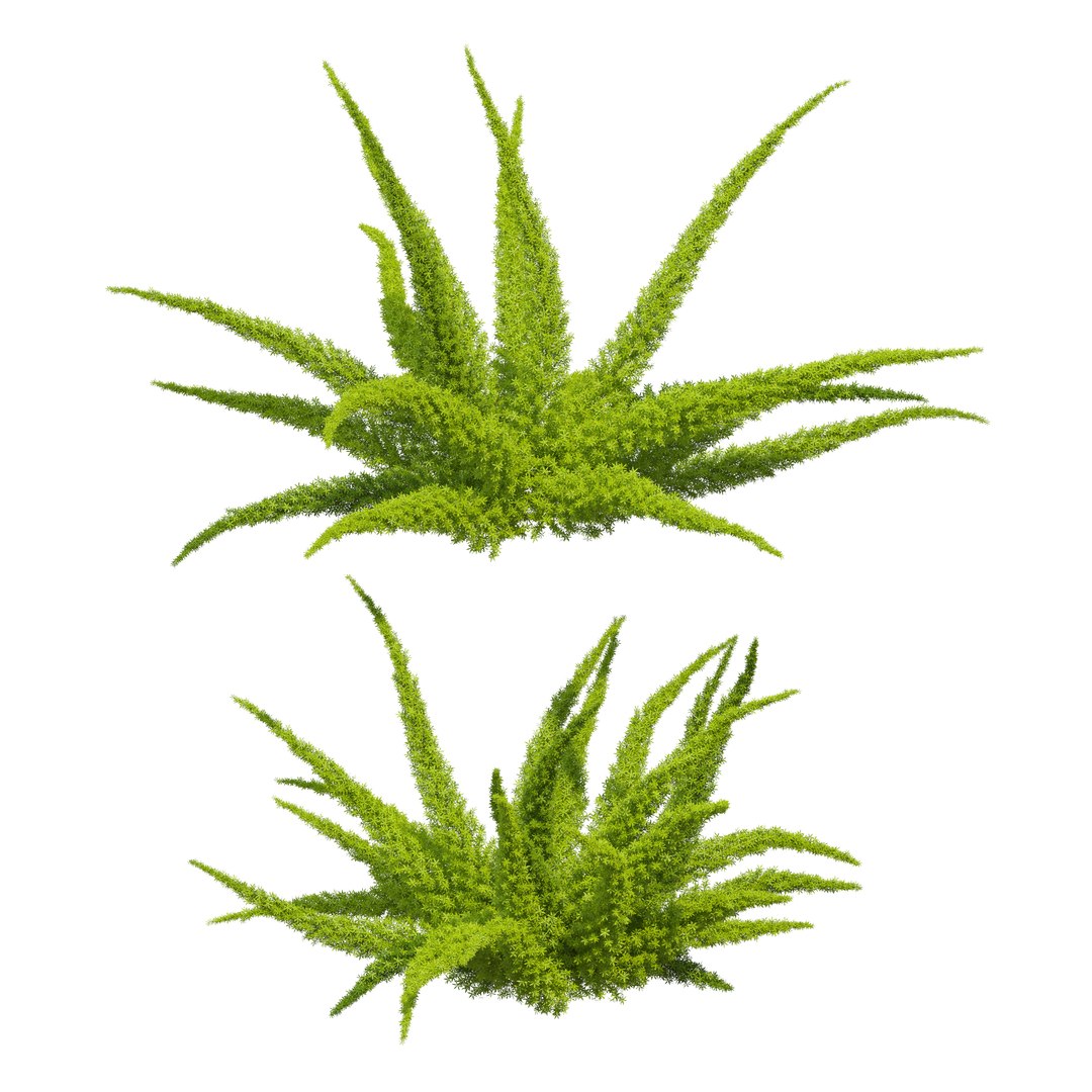 Garden Plants 3D Model - TurboSquid 2427430
