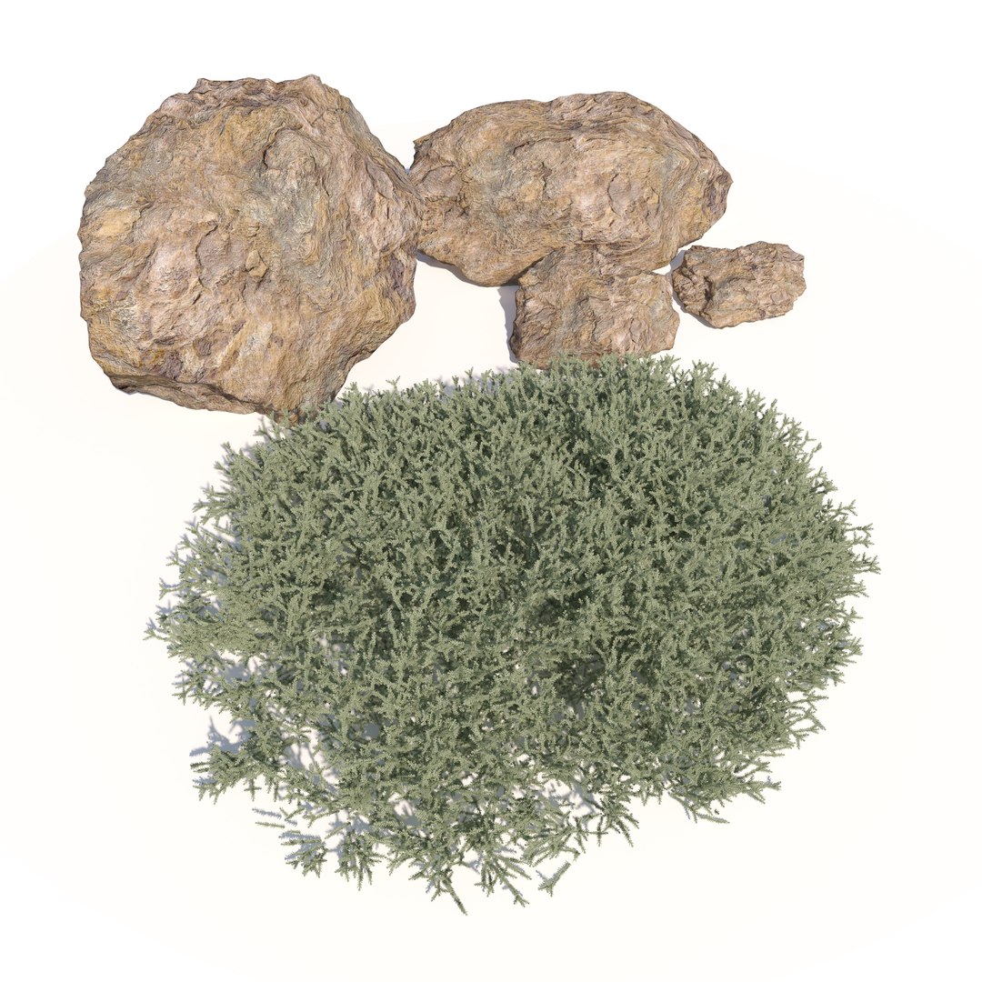 Garden Plants 3D Model - TurboSquid 2427430