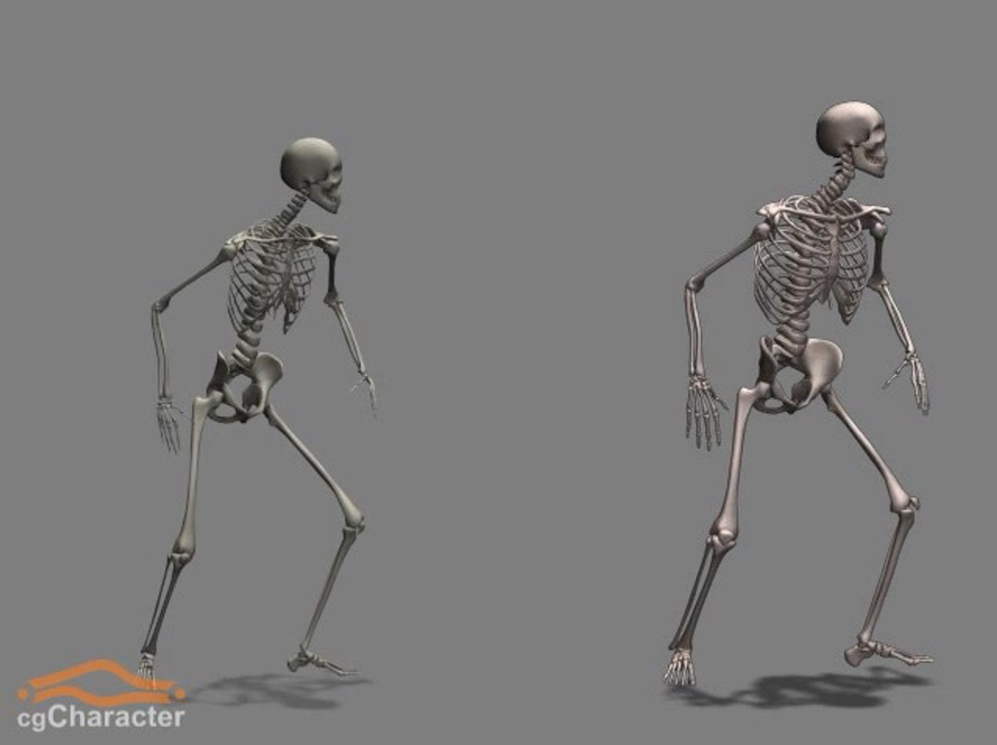 Cghumans: Eve Muscles Skeleton 3d Model