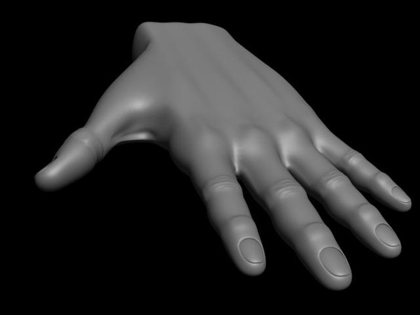 male hand 3d max