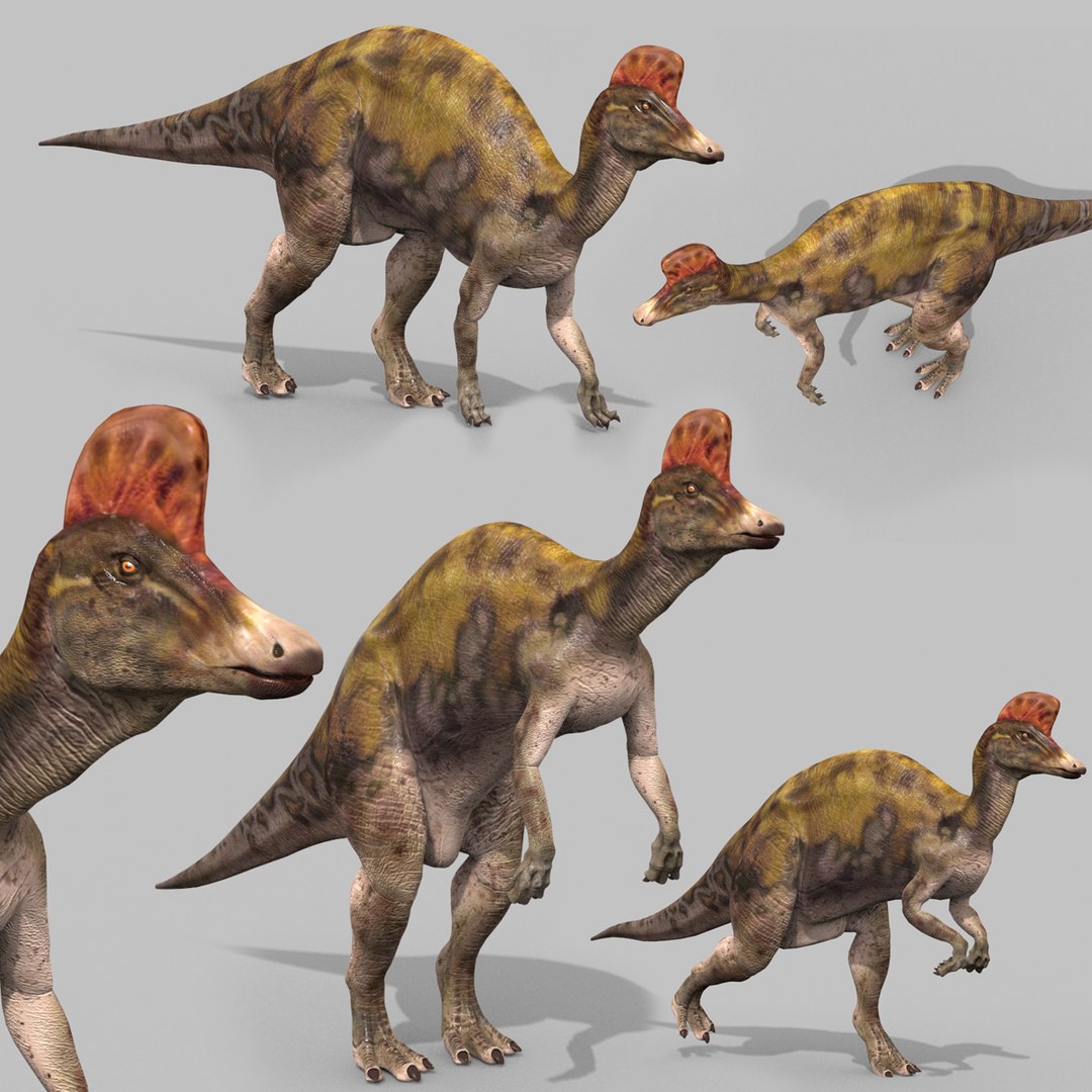 Real Animated Corythosaurus HD 3D Model - TurboSquid 2254511