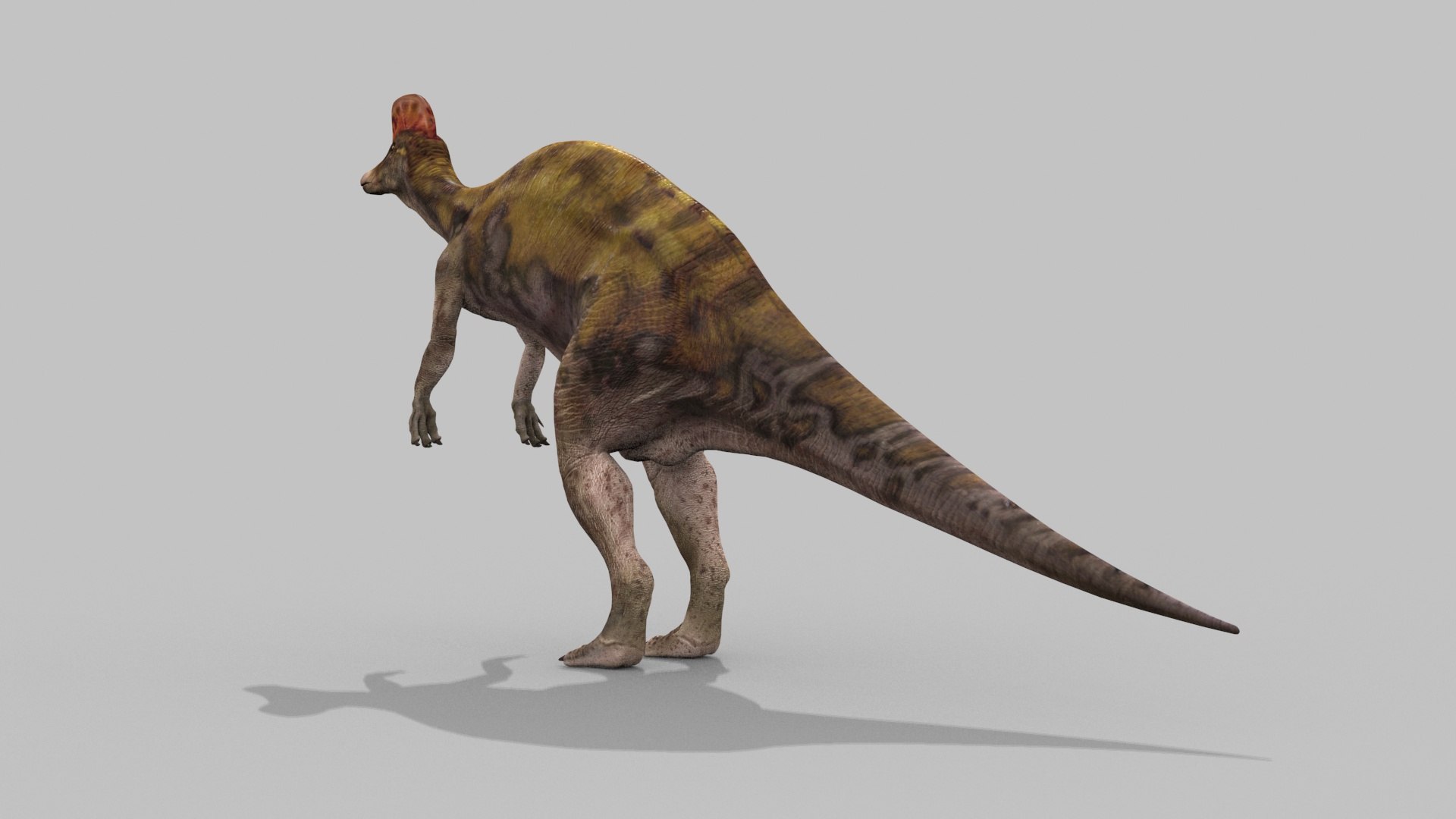 Real Animated Corythosaurus HD 3D Model - TurboSquid 2254511
