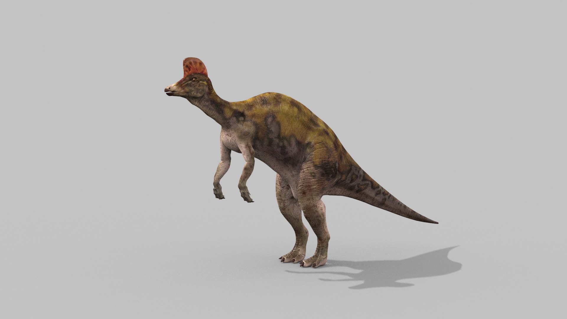 Real Animated Corythosaurus HD 3D Model - TurboSquid 2254511
