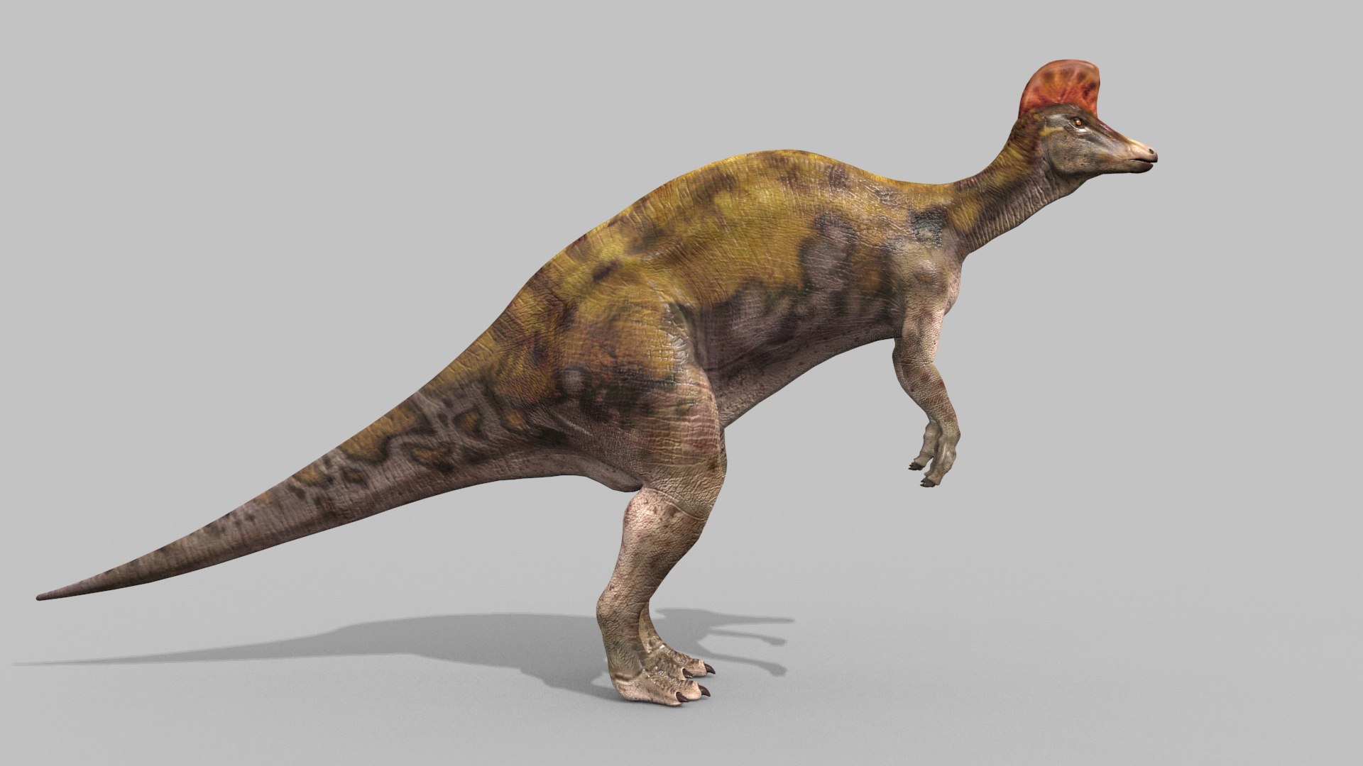 Real Animated Corythosaurus HD 3D Model - TurboSquid 2254511