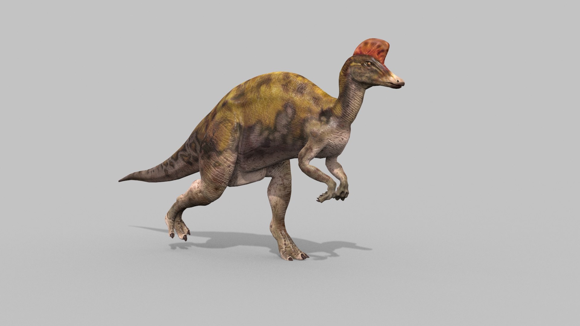 Real Animated Corythosaurus HD 3D Model - TurboSquid 2254511