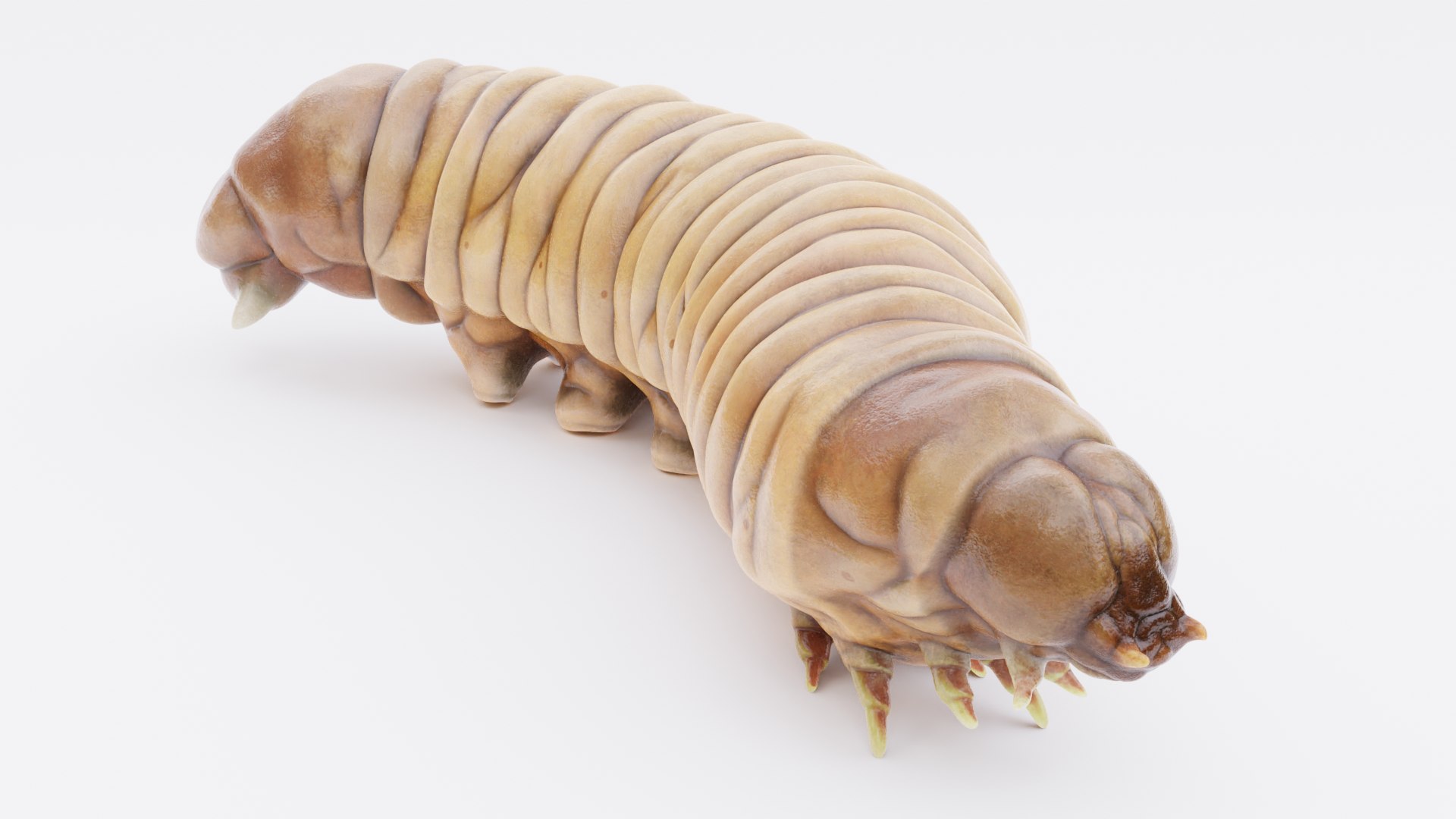 3D Wax Worm Rigged Model - TurboSquid 2115653