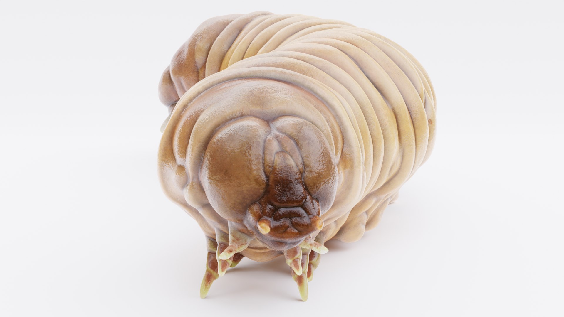 3D Wax Worm Rigged Model - TurboSquid 2115653