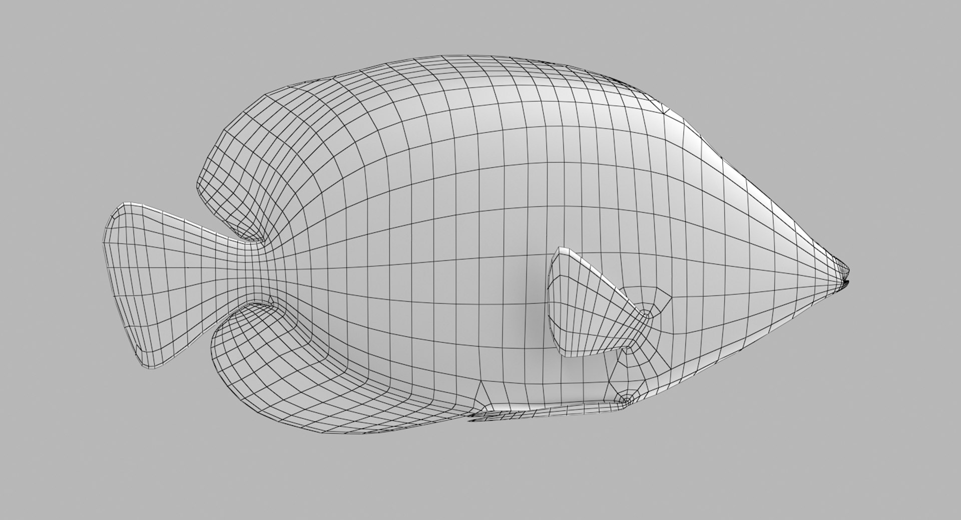 Coral Reef Fish Model - TurboSquid 1522084