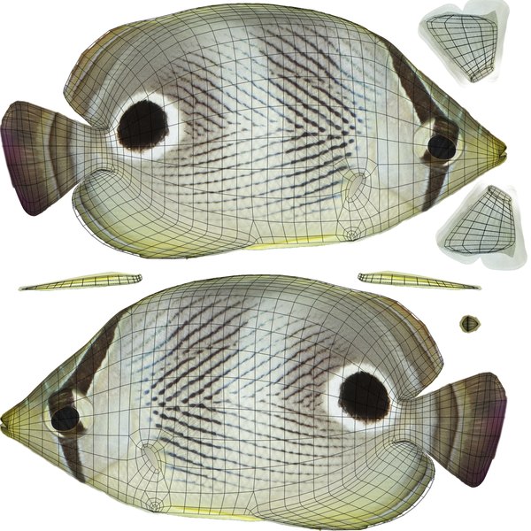 Coral reef fish model - TurboSquid 1522084