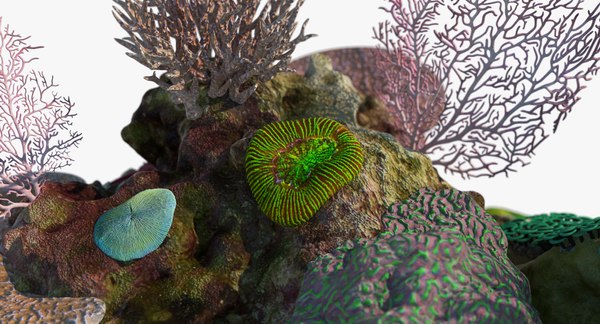 modelo 3d Colección Fish Coral Reef - TurboSquid 1522084