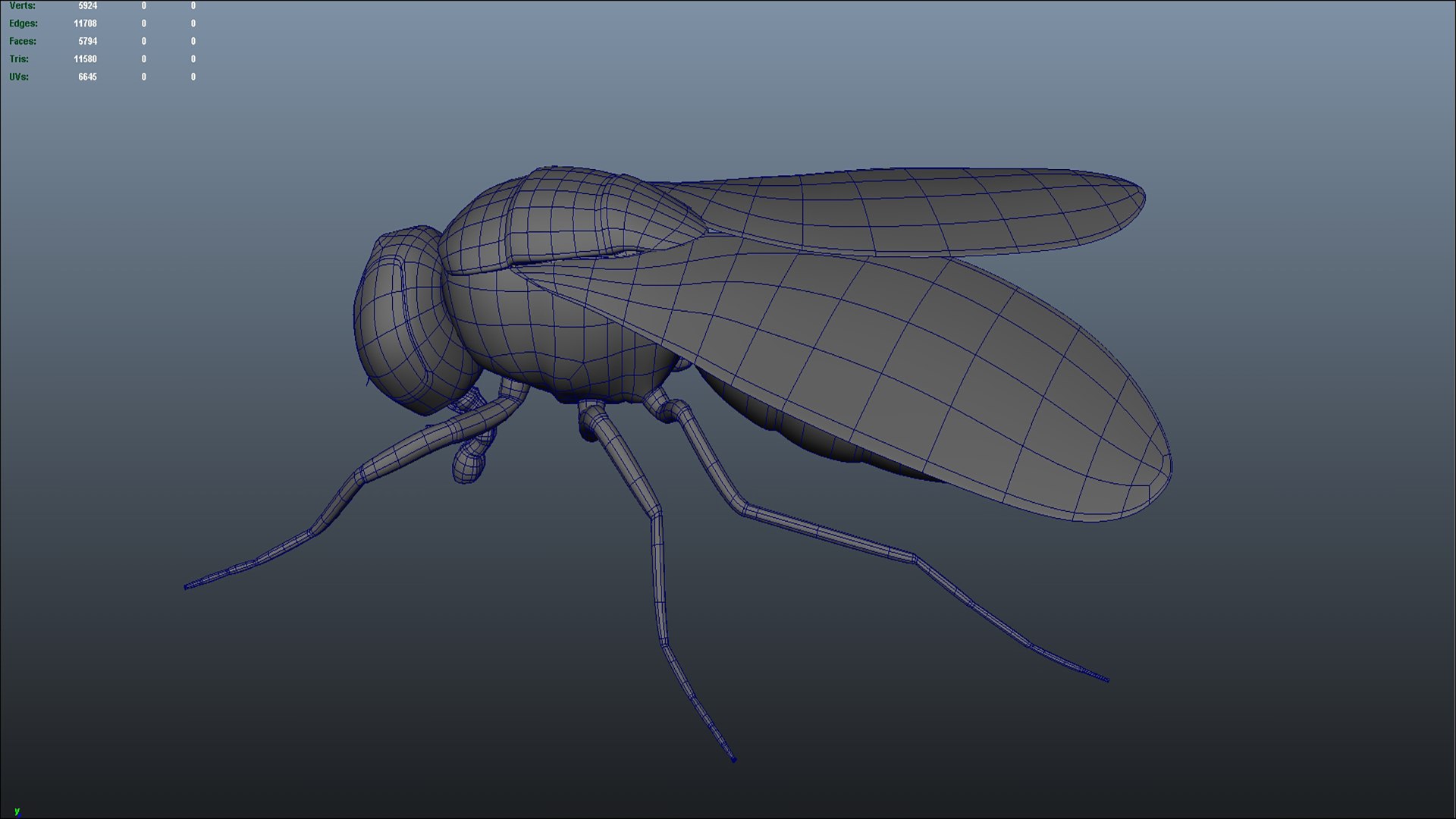 Housefly Male Reproductive System Model - TurboSquid 1803897