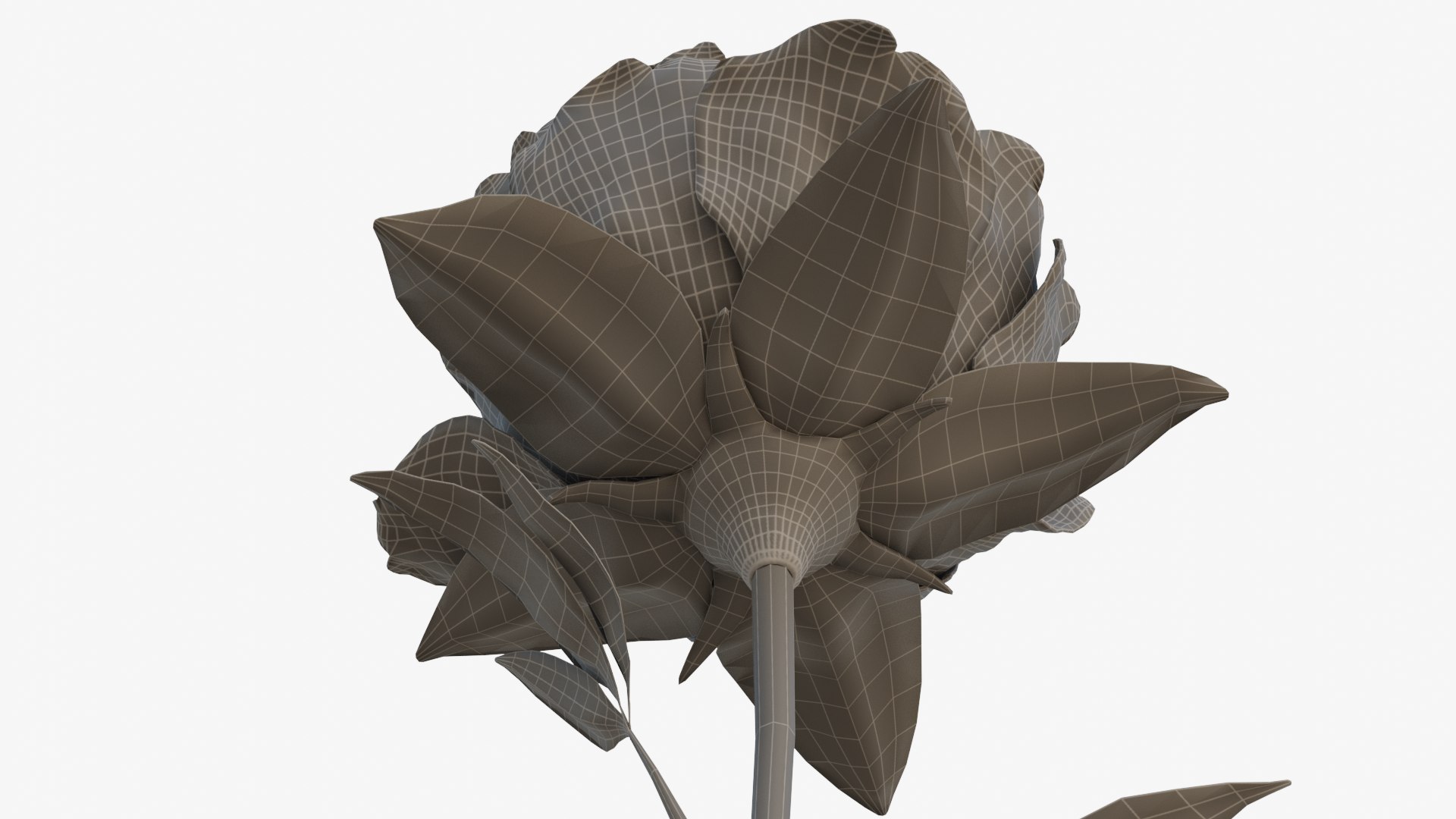 Peony Pink Flower 3D Model - TurboSquid 1549503