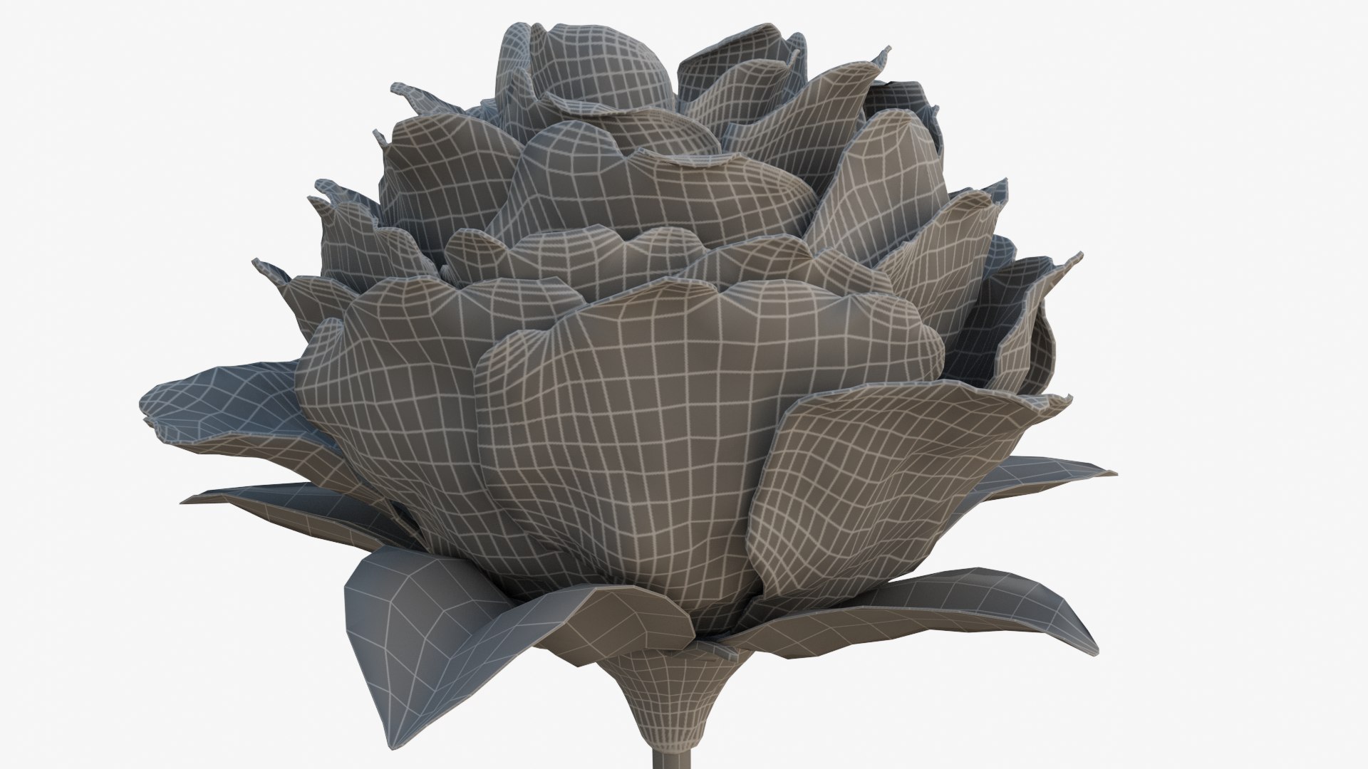 Peony Pink Flower 3D Model - TurboSquid 1549503