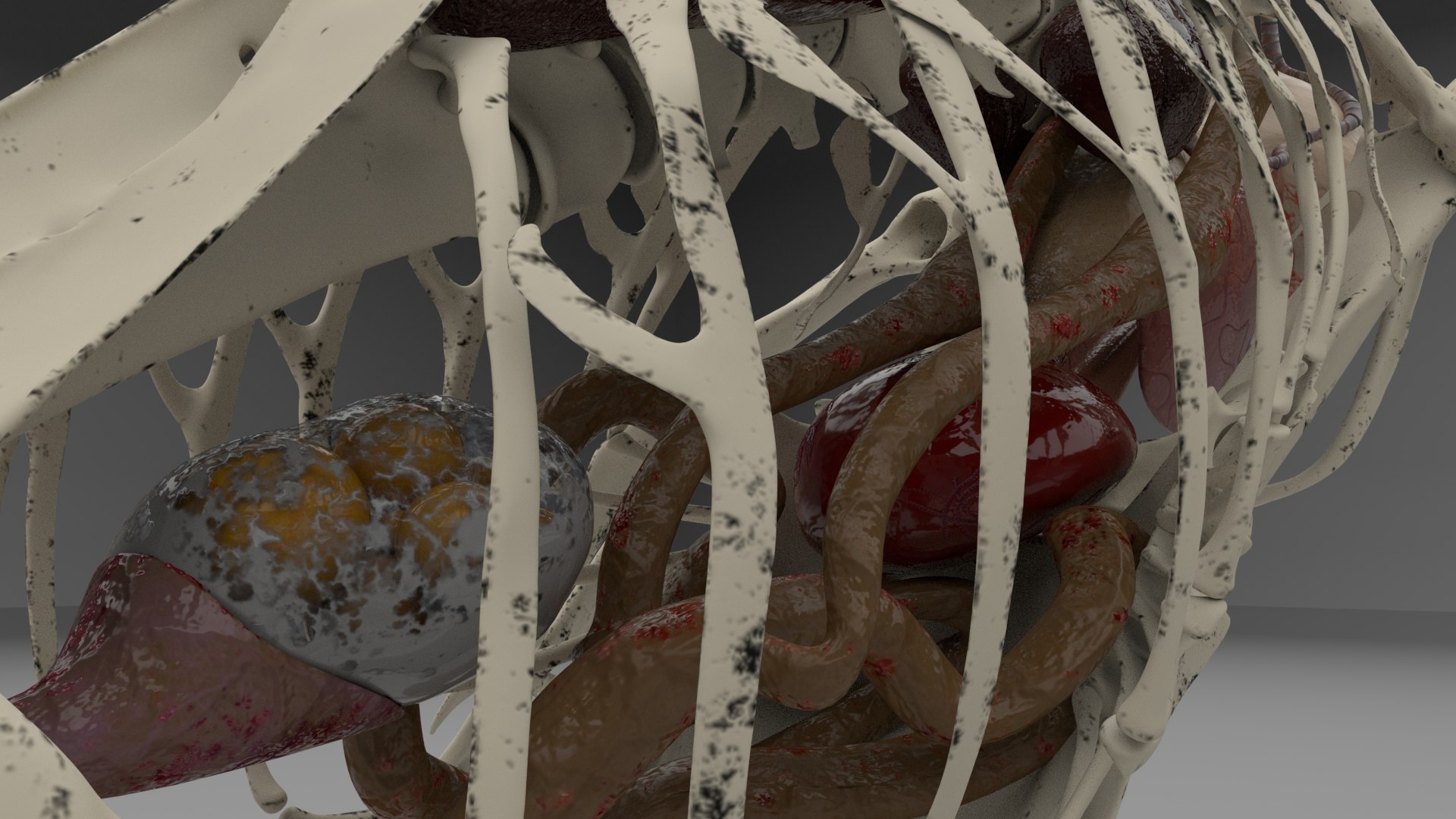 Poultry Chicken Anatomy Heart 3D - TurboSquid 1455938