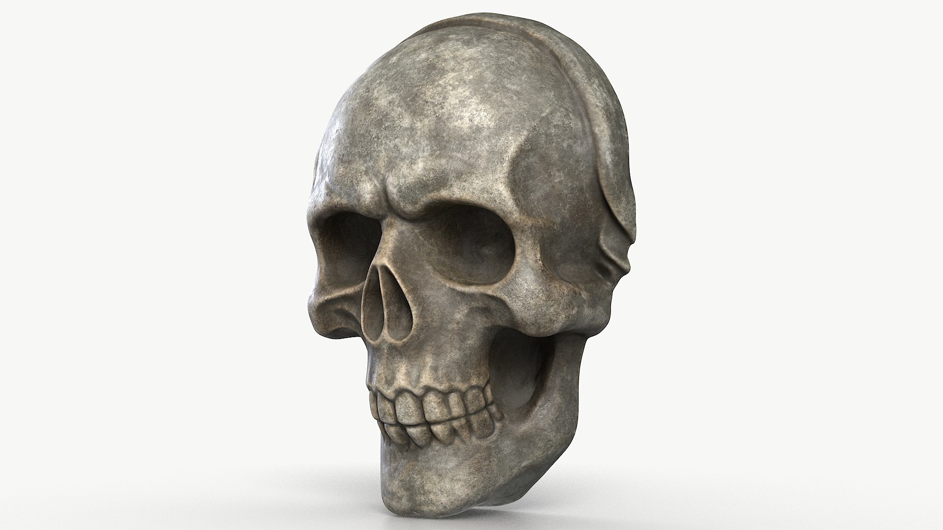 3D Skull 25 Textured Model - TurboSquid 2308605