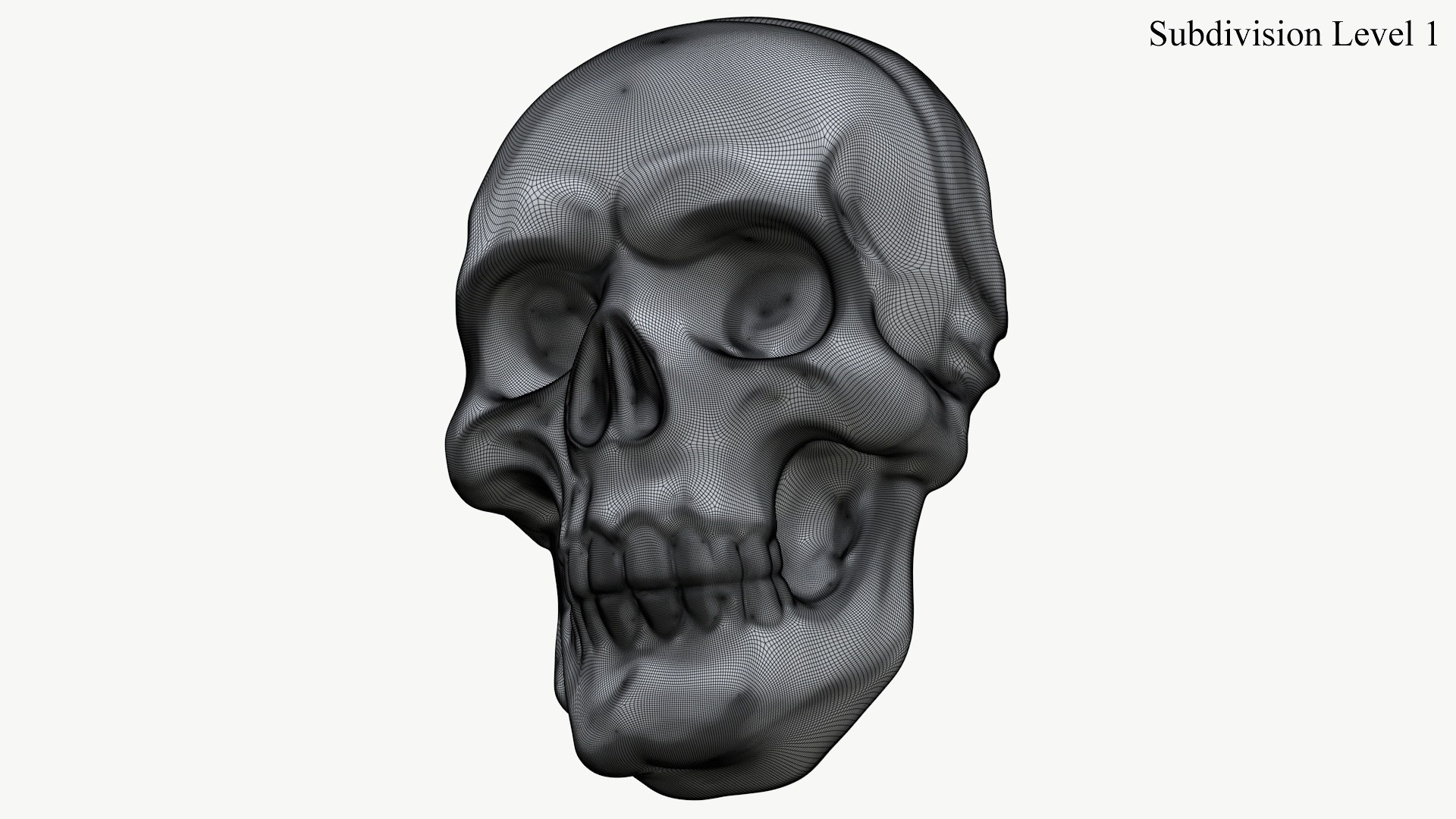 3D Skull 25 Textured Model - TurboSquid 2308605