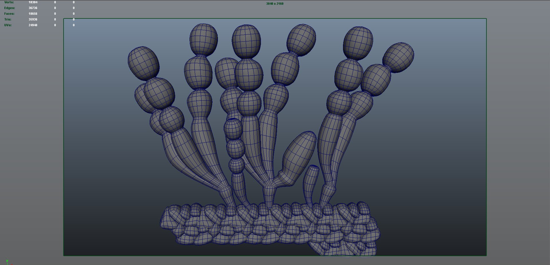 3d Albugo Genus Oomycetes Model