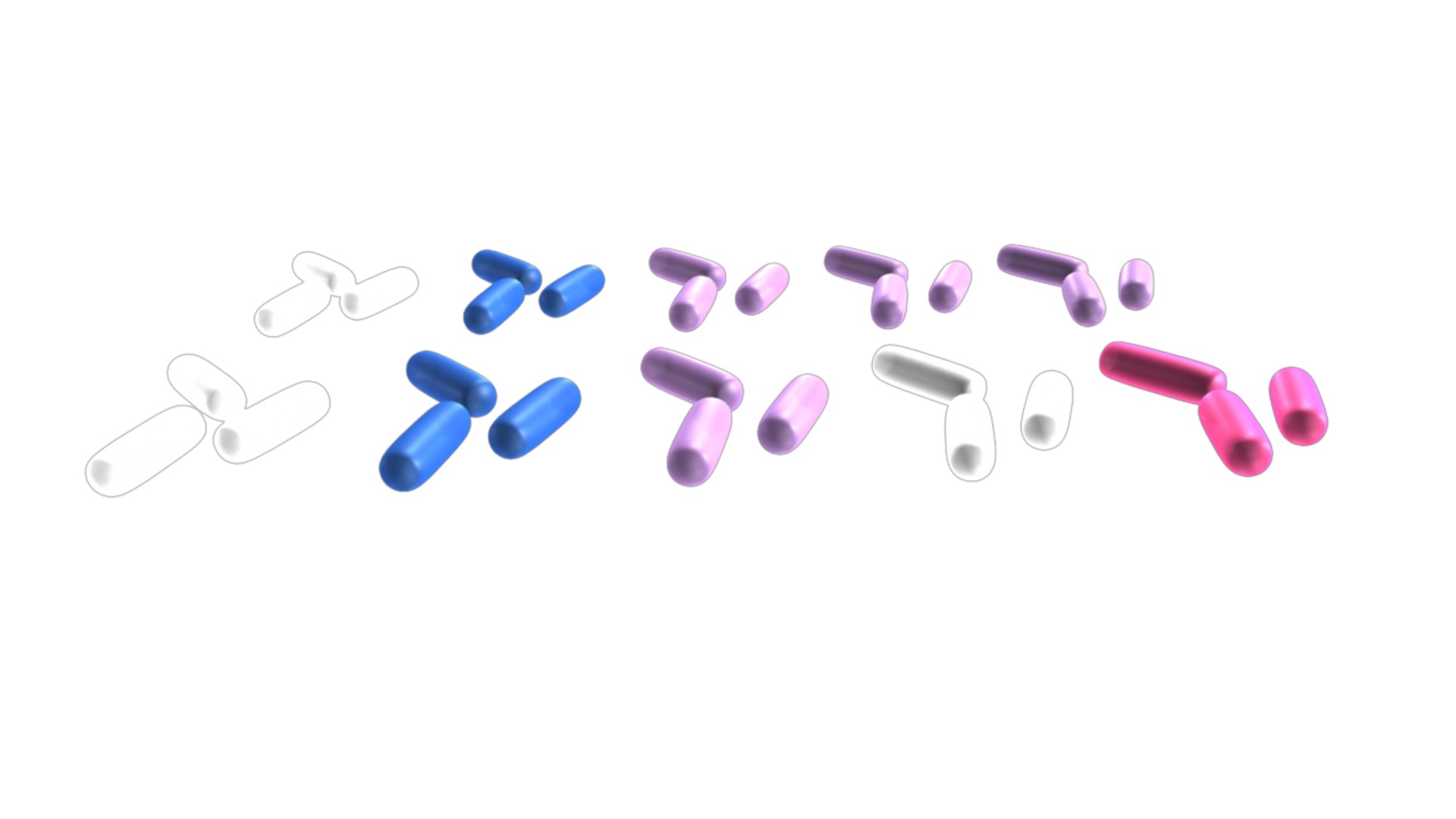 3d Model Gram S Method