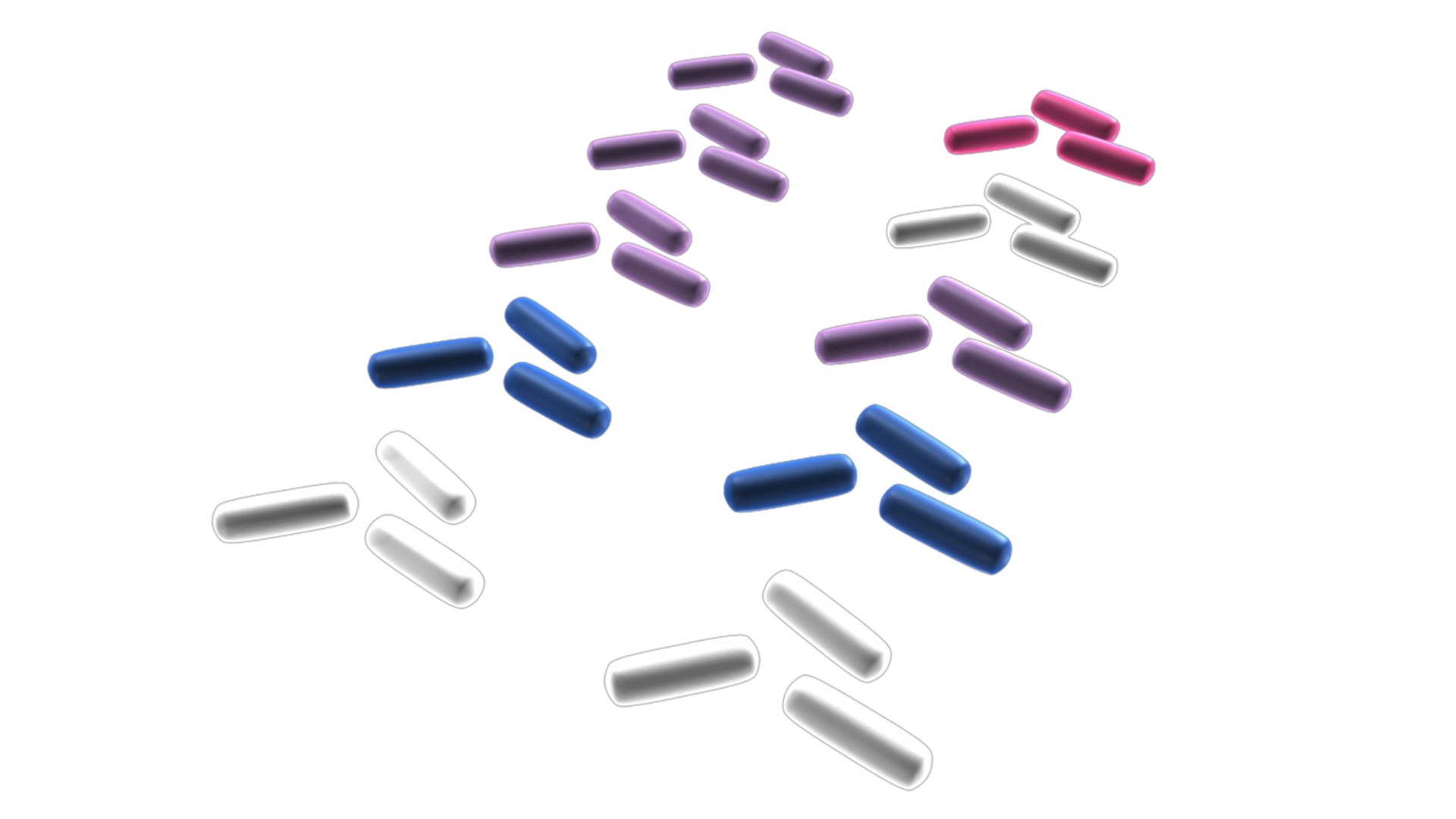 3d Model Gram S Method