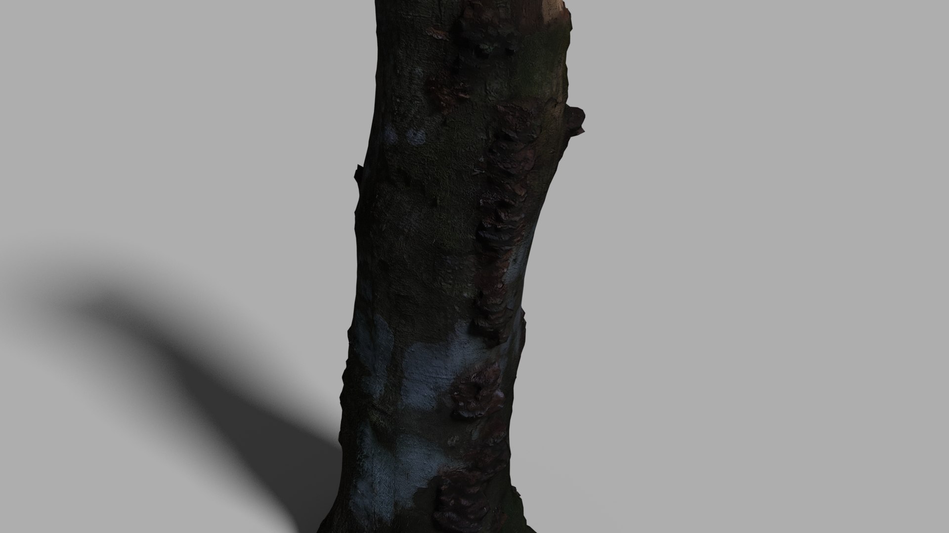 Tree Stump Rotten 3D Model - TurboSquid 1293506