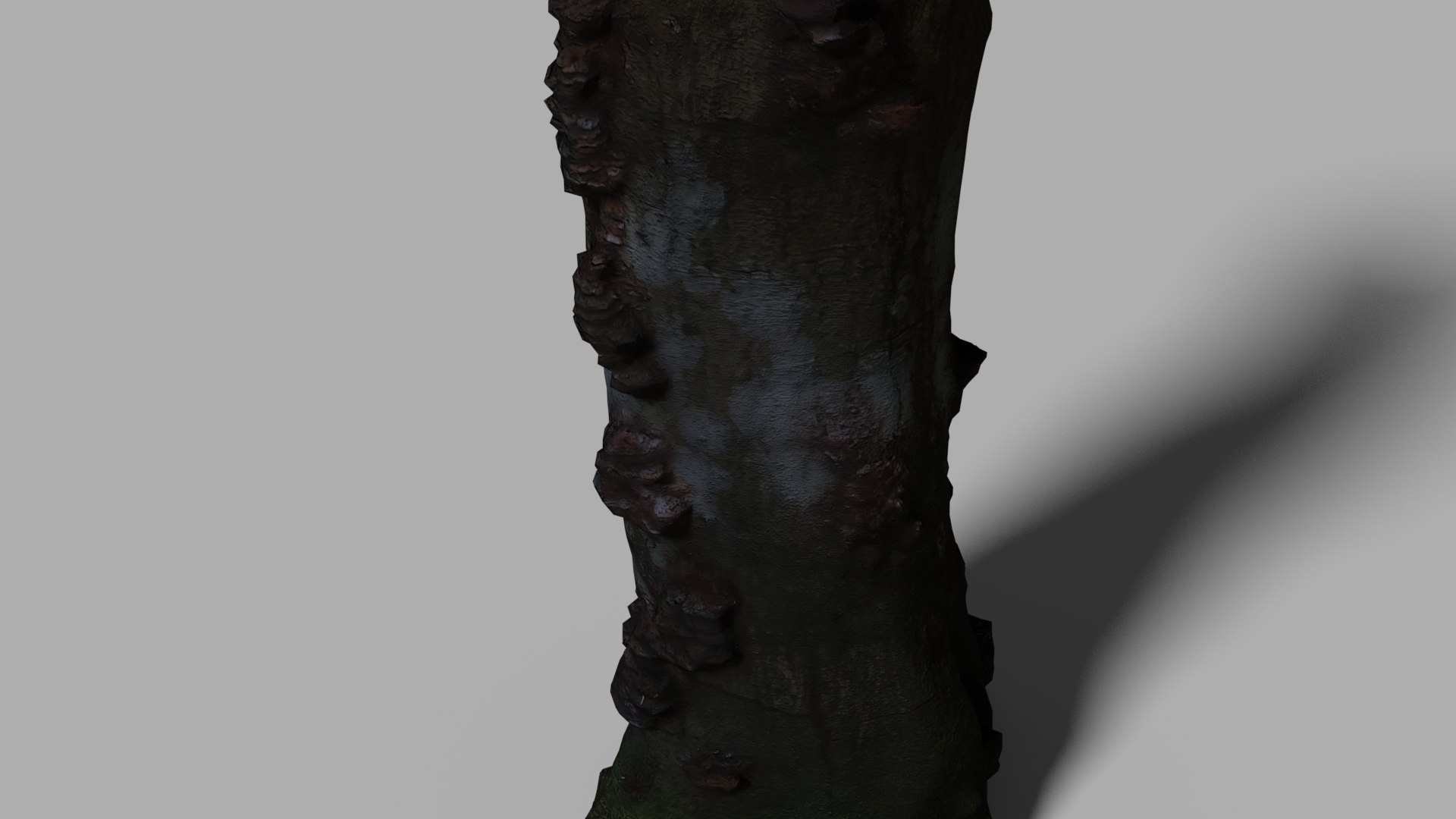 Tree Stump Rotten 3D Model - TurboSquid 1293506
