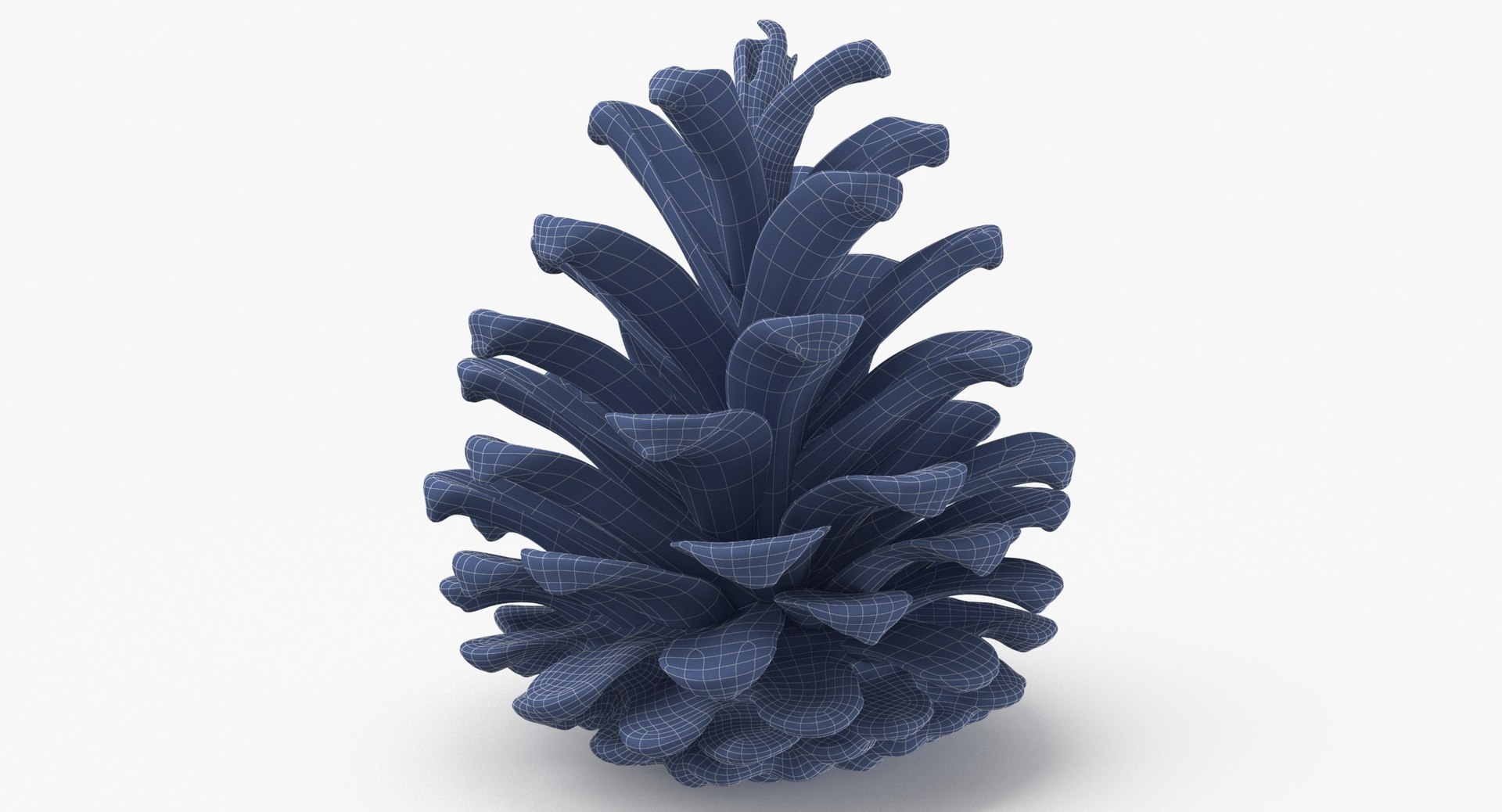 3D Prop 16 Pine Cones Type 01 - TurboSquid 2146748