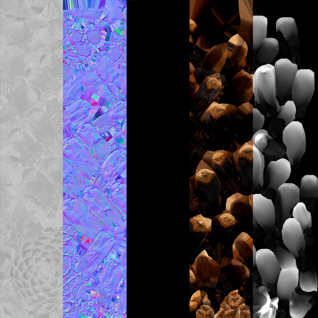 3D Prop 16 Pine Cones Type 01 - TurboSquid 2146748