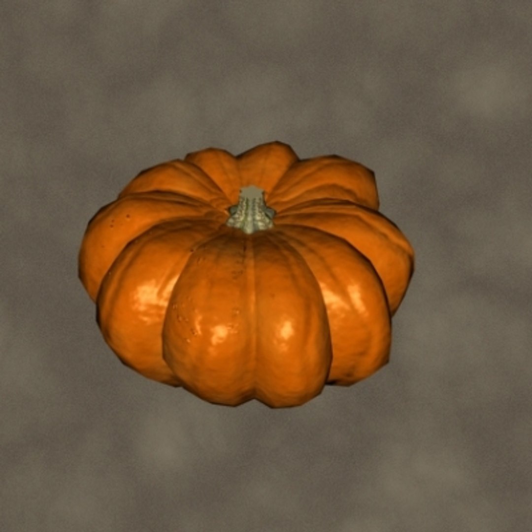 Maya Pumpkin Zipped