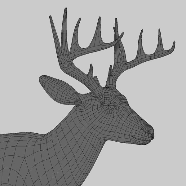 deer white 3d model
