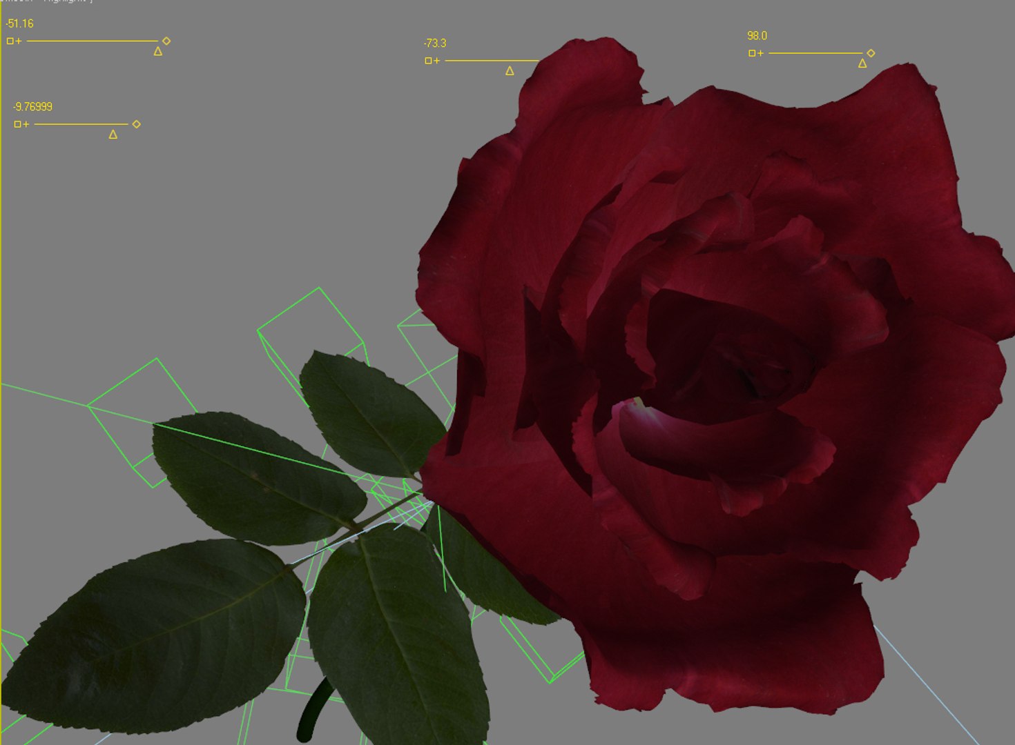 3d Model Rose Animation