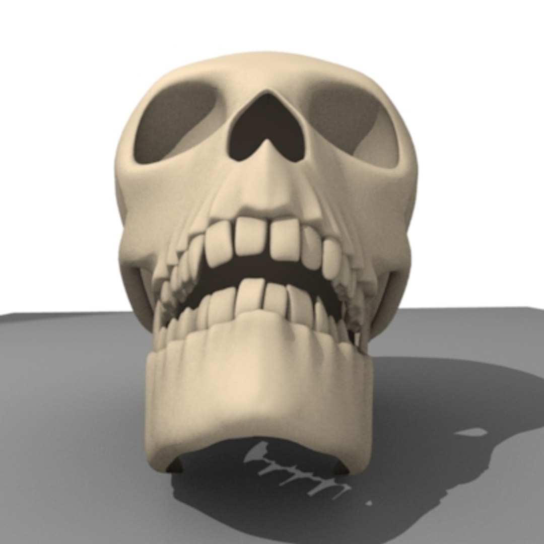 Skull 3d Model