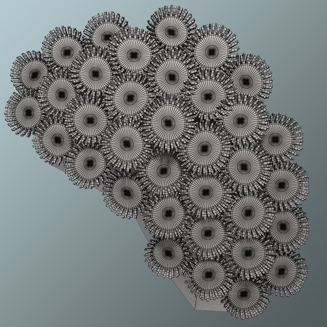 3d Zoanthid Coral Polyp Model