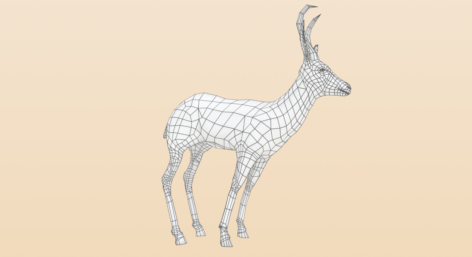 Buck Springbok Impala 3d Model