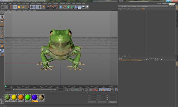 australian green tree frog 3d model