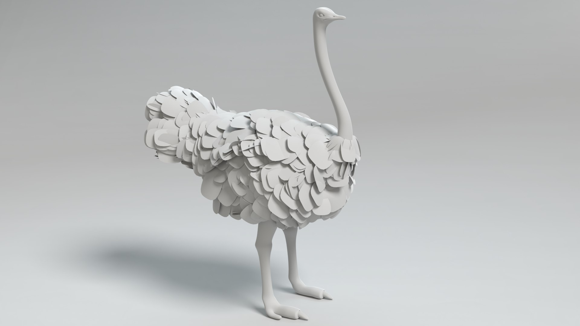 3D Ostrich Pbr - TurboSquid 1531712