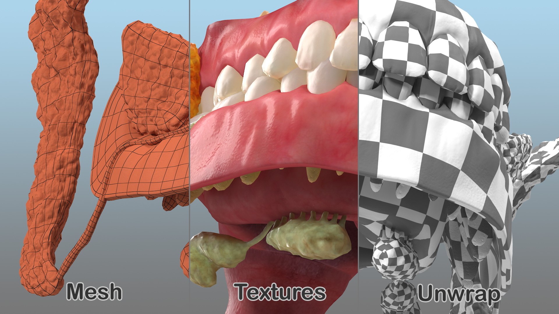 Human Digestive Anatomy 3D Model - TurboSquid 1468961