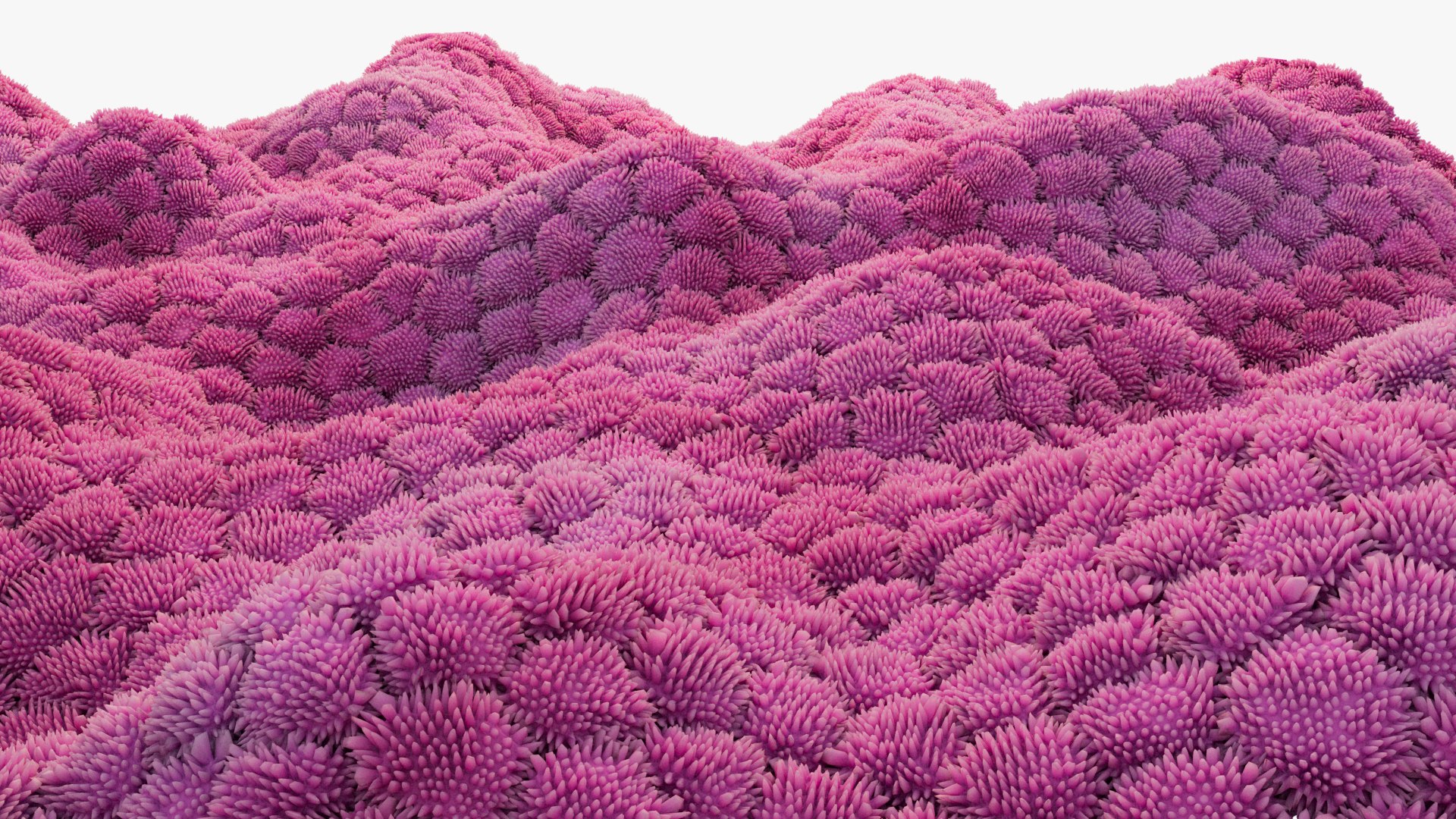 Uterus Lining 3D - TurboSquid 2058799